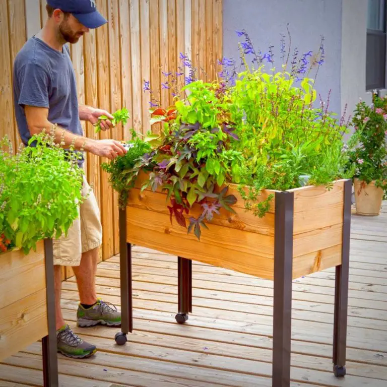 20 Best Indoor Raised Planter Box – Bed Gardening