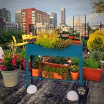 THE BEST PORTABLE RAISED GARDEN BEDS ON WHEELS – Bed Gardening