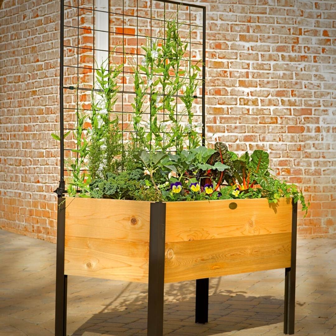 20 Best Indoor Raised Planter Box | Bed Gardening