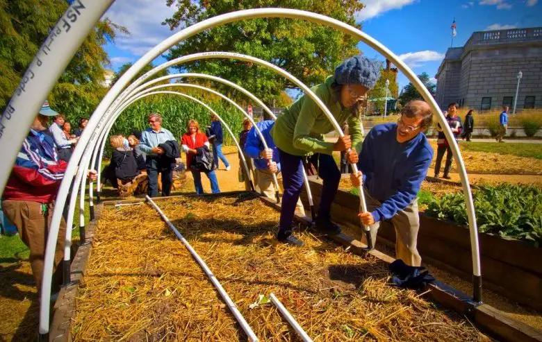 How To Make Row Covers For Raised Beds? – Bed Gardening