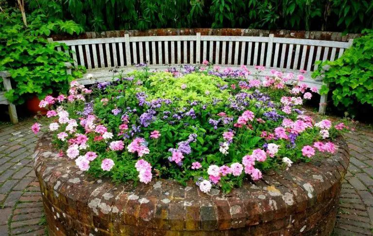 10 Inexpensive Raised Bed Ideas To Build This Spring – Bed Gardening