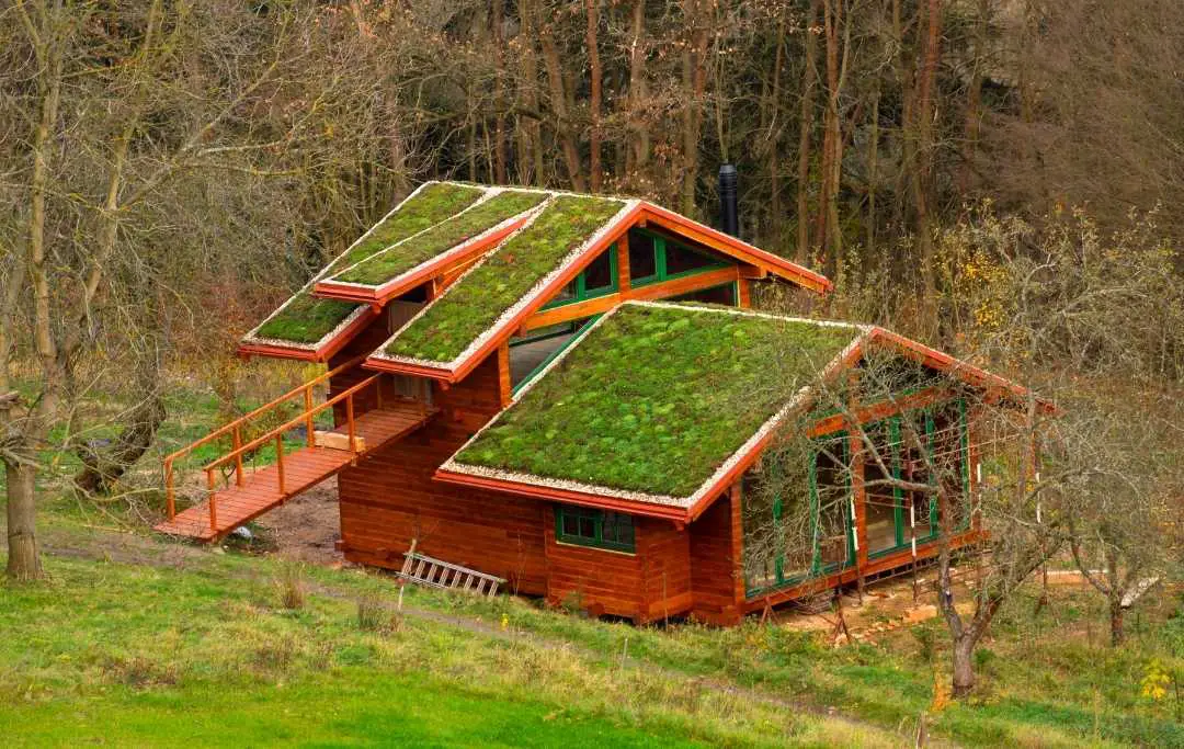 10 Best Permaculture Garden Designs – Bed Gardening