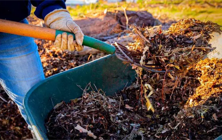 HOW TO START A NO-DIG GARDEN? – Bed Gardening