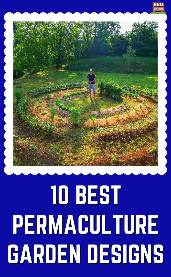 10 Best Permaculture Garden Designs – Bed Gardening