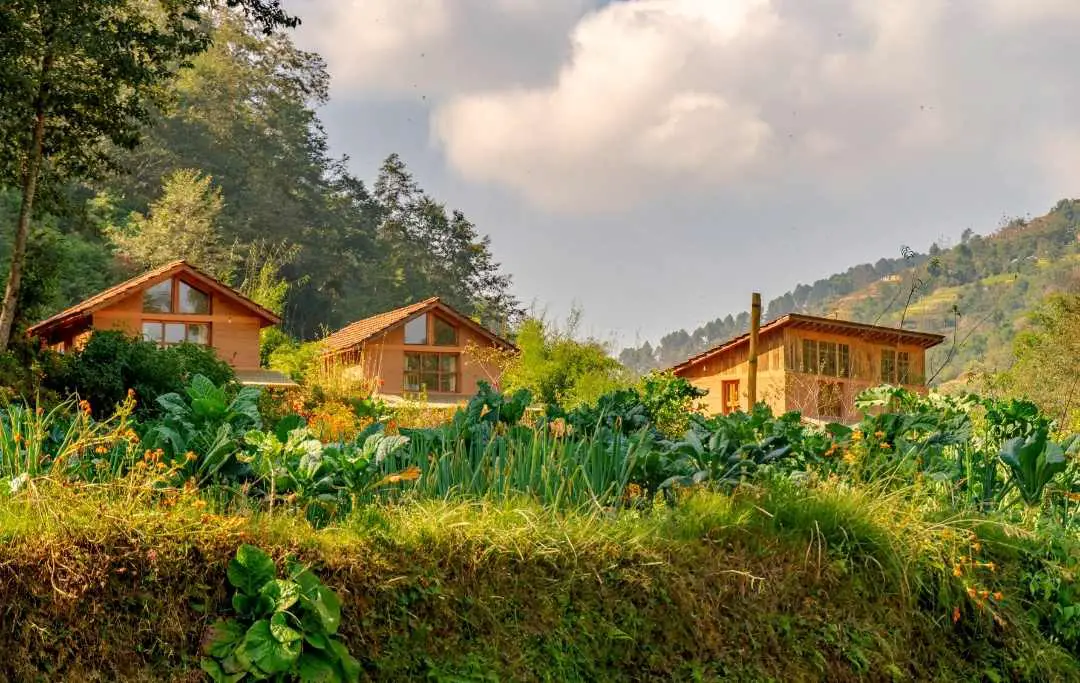 How To Start Permaculture On Hill? – Bed Gardening