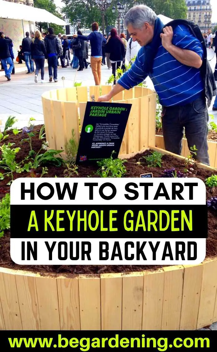How To Build A Keyhole Garden? – Bed Gardening
