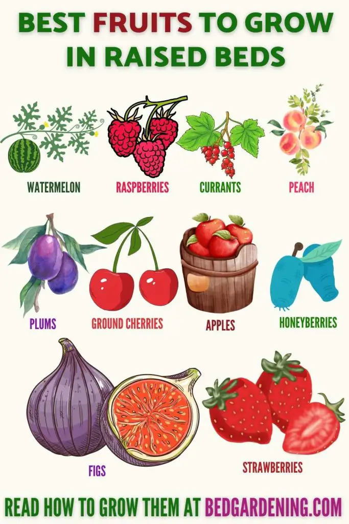 Best Fruits To Grow In Raised Beds – Bed Gardening