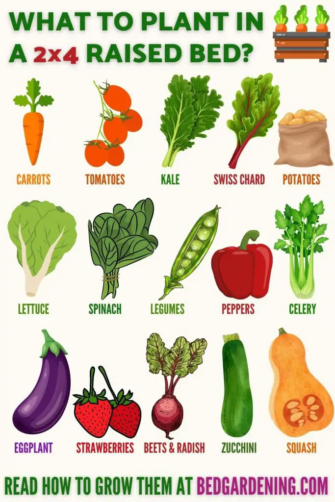 What To Plant In A 2×4 Raised Bed? – Bed Gardening