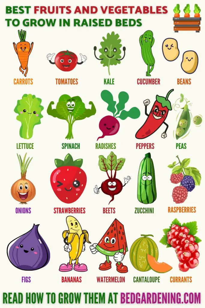 Best Fruits And Vegetables To Grow In Raised Beds – Bed Gardening