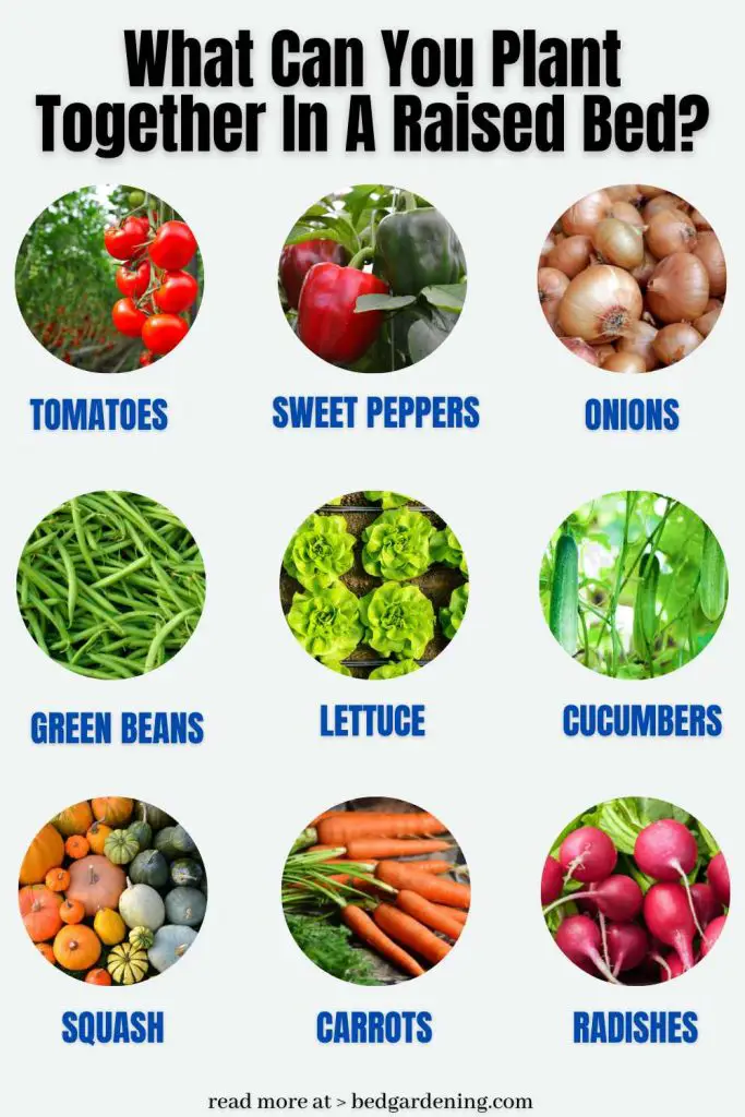 Planting Schemes For Raised Beds – Bed Gardening