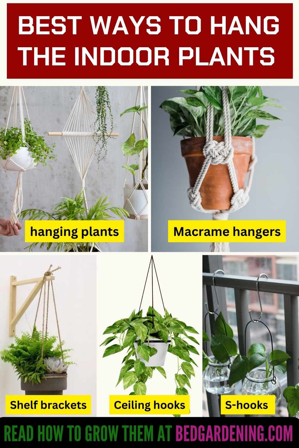 The Best Ways To Hang The Plants – Bed Gardening